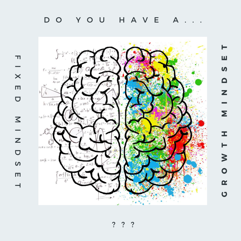 Growing a Growth Mindset vs Fixed Mindset – InspireTheClassroom